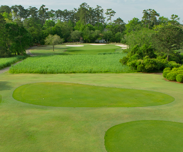Beauty, Danger, and Drama: Tidewater’s Par 3s Steal the Show - Myrtle ...