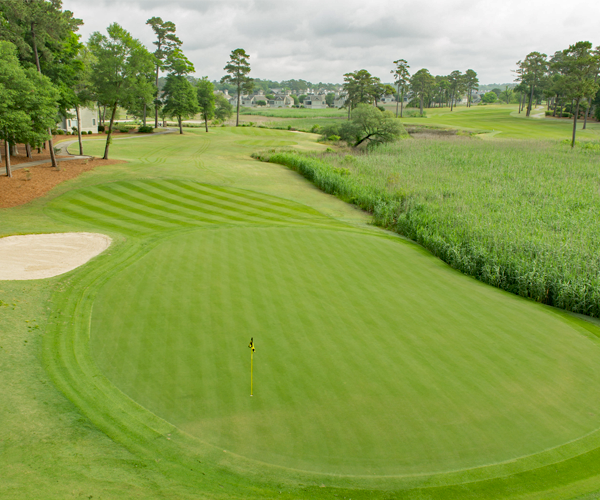 Beauty, Danger, and Drama: Tidewater’s Par 3s Steal the Show - Myrtle ...