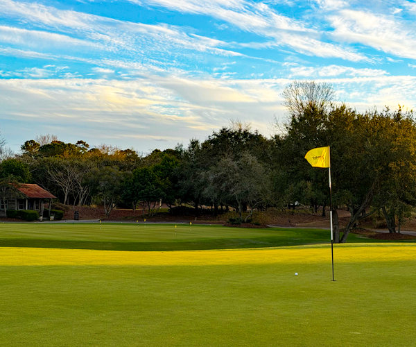 The Numbers Are In: Why Golfers Continue to Choose Myrtle Beach Golf ...