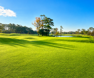 The Granddaddy Just Got Better: Pine Lakes Adds New Tees for Every ...
